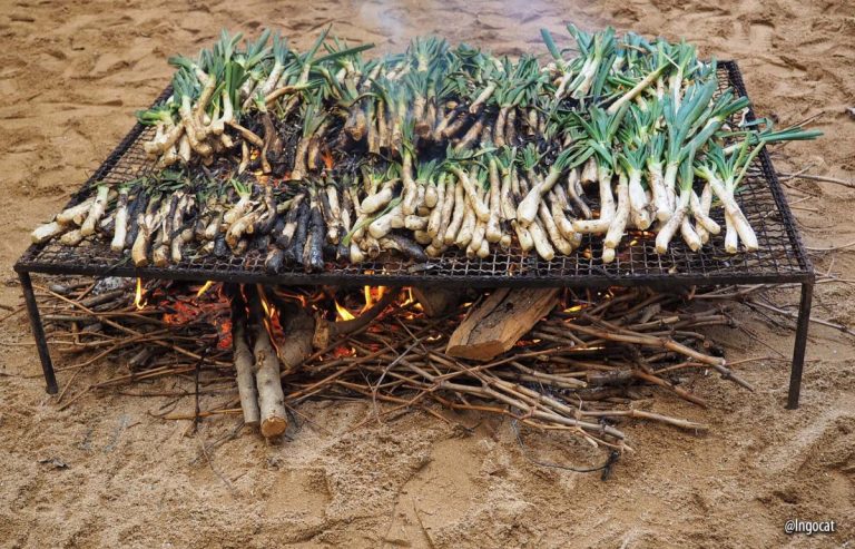 Recette de la Calçotada - Catalunya Experience