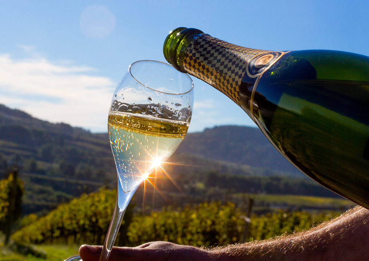 Le cava - Catalunya Experience