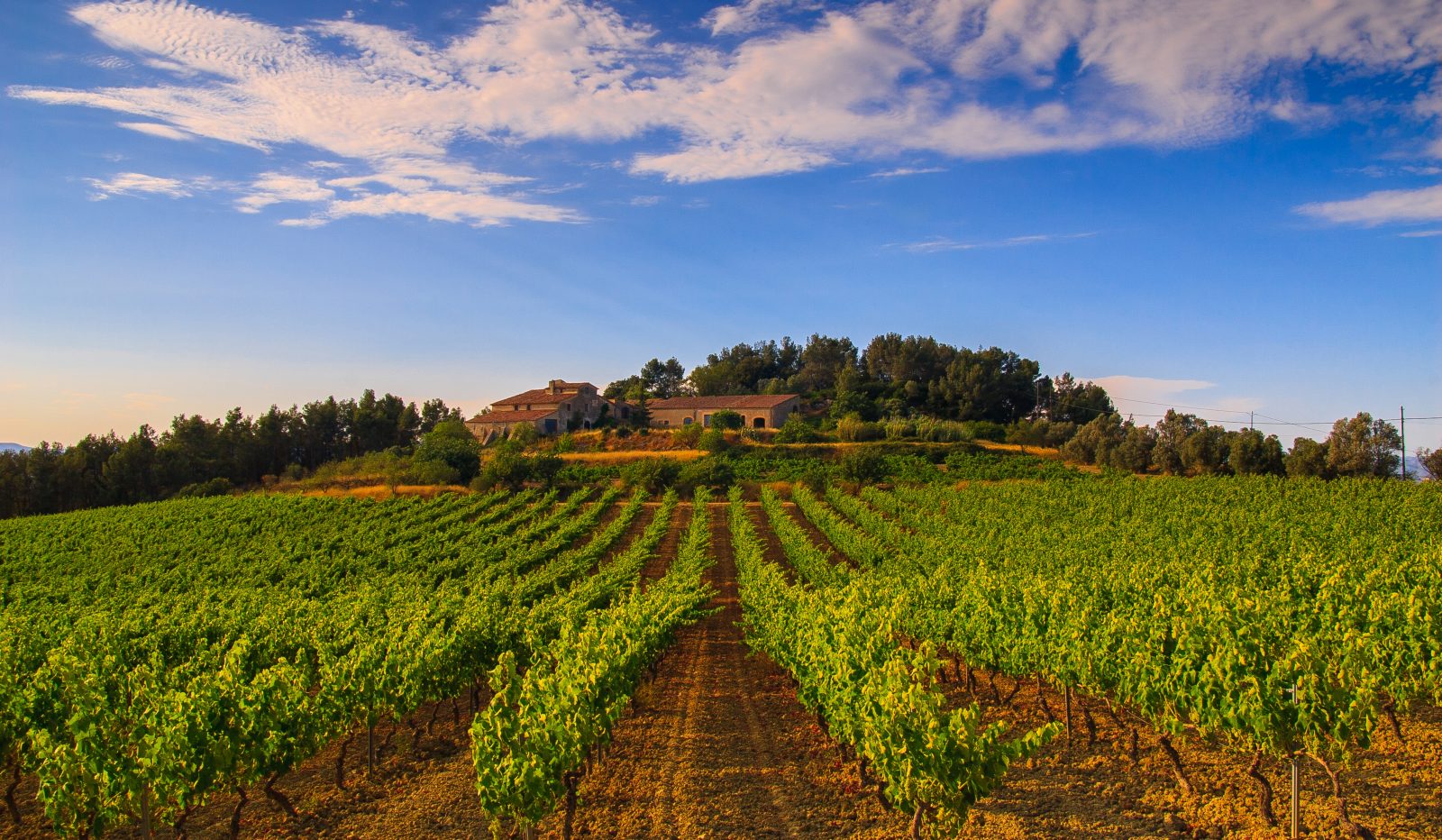 24h à Vilafranca del Penedès - Catalunya Experience